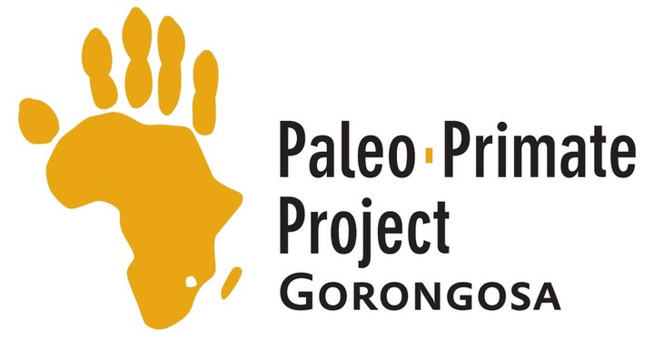 Paleo-Primate Project | Thomas A. Püschel